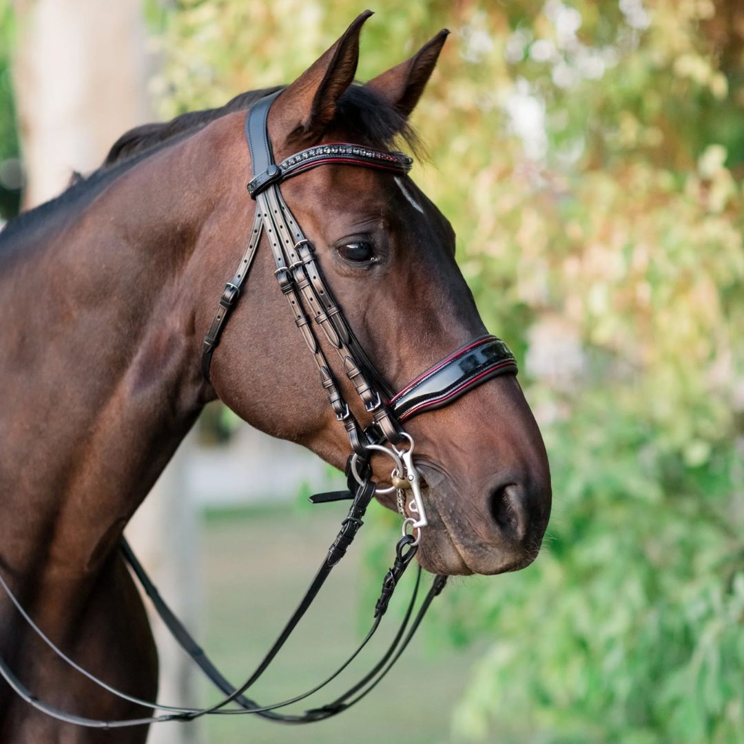 Topaz Night Dressage Bridle - Exclusively at Malvern Saddlery